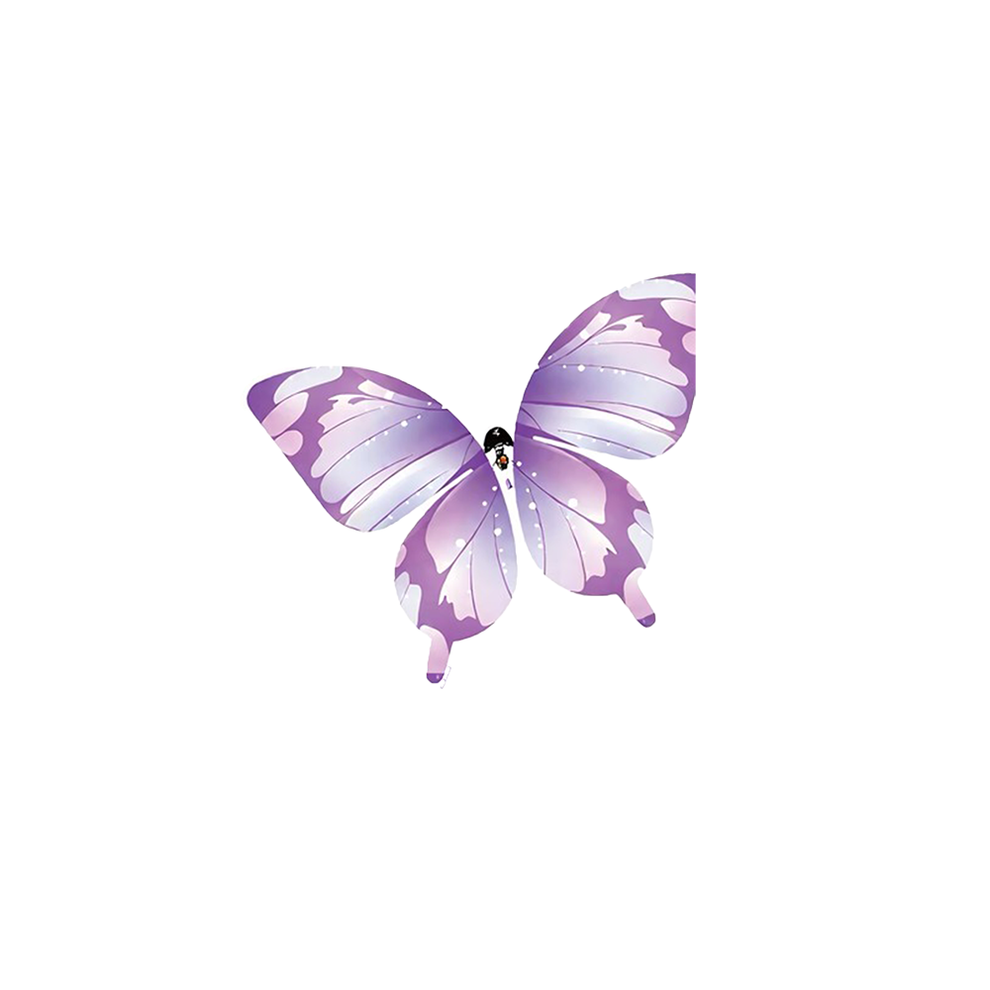 Butterfly Flying Device – Flitonic